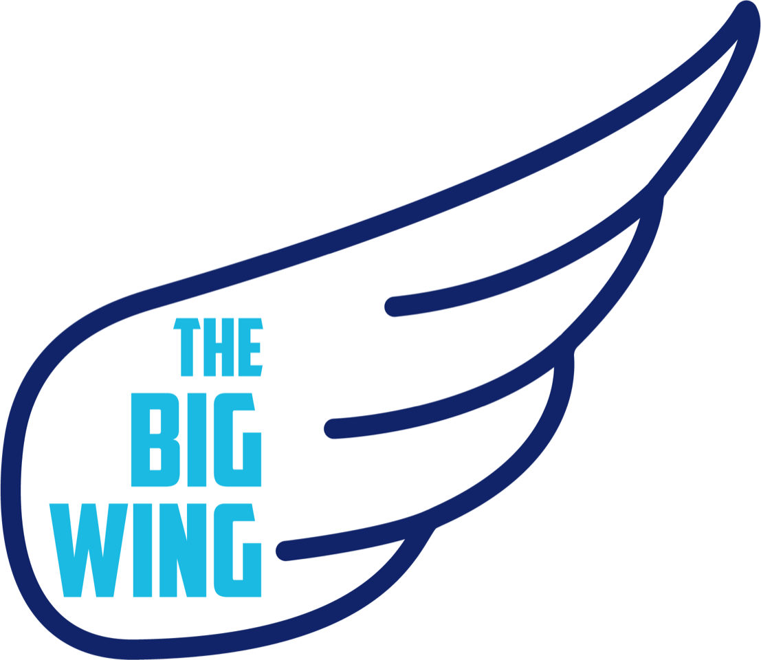 Big Wing – FSDP