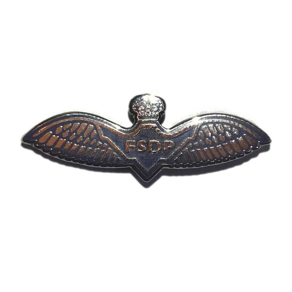 Small Pin Badge – FSDP